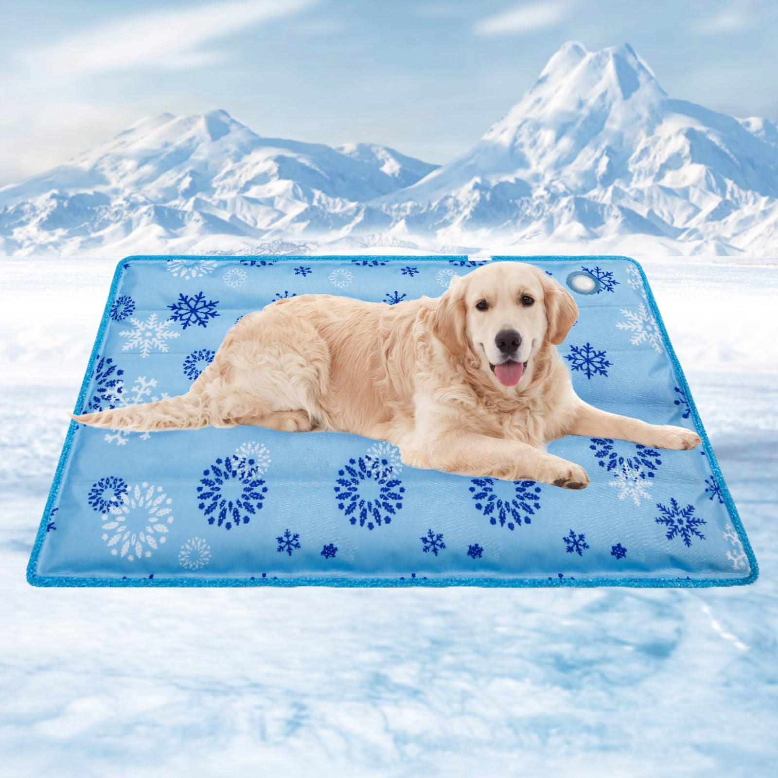 Dog Cooling Mat for Dogs & Cats - Self Cool Pad with Water Injection ...