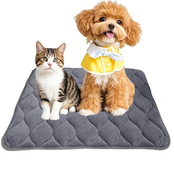 Dog Crate Mats in Dog Crates - Walmart.com