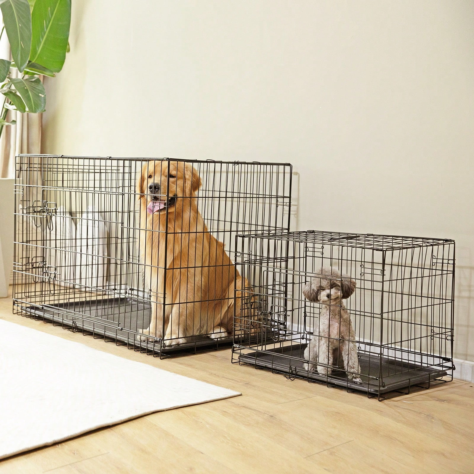 Dog Crate With Double Doors - Enhanced Metal Foldable Pet Cage With Divider Panel & Removable ...