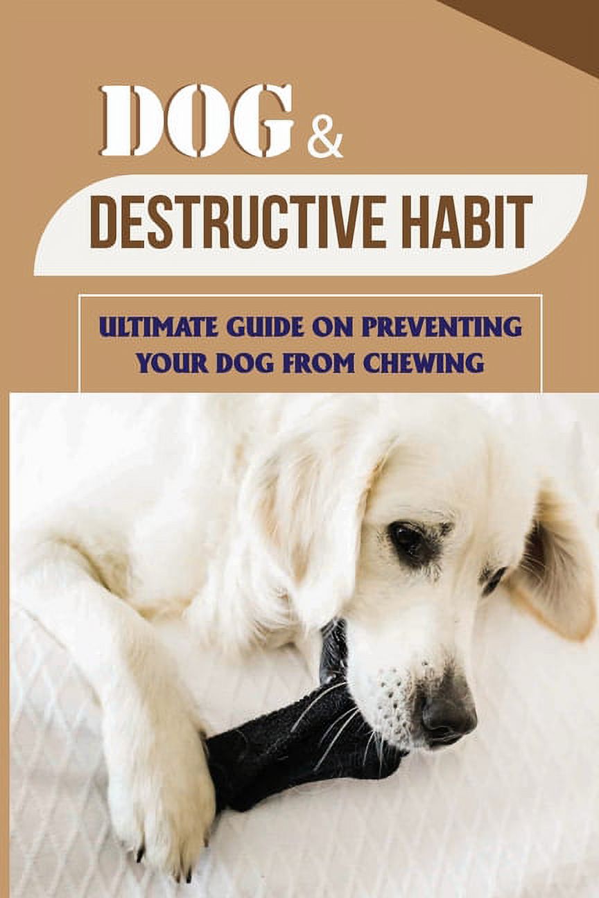 Dog & Destructive Habit: Ultimate Guide On Preventing Your Dog From Chewing: How Do I Train My ...