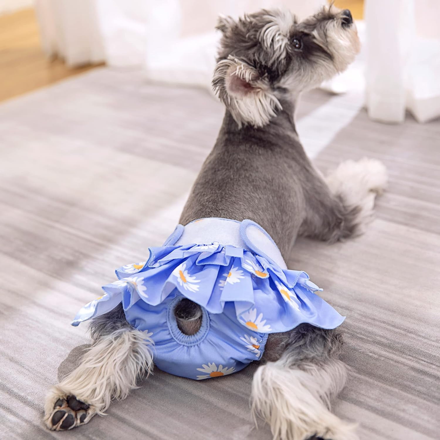 Dog Diapers Female, Reusable Dog Period Diapers Cover, Female Dog ...