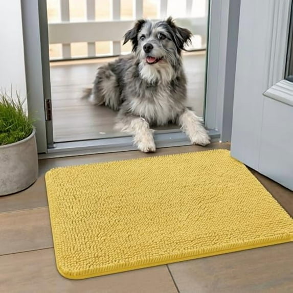 Dog Door Mat for Muddy Paws 24x16, Absorbs Moisture and Dirt Doormat ...