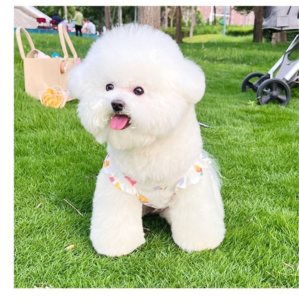 Dog Dresses for Small Dogs Girl Female Dog Clothes Cat Clothes Cat ...