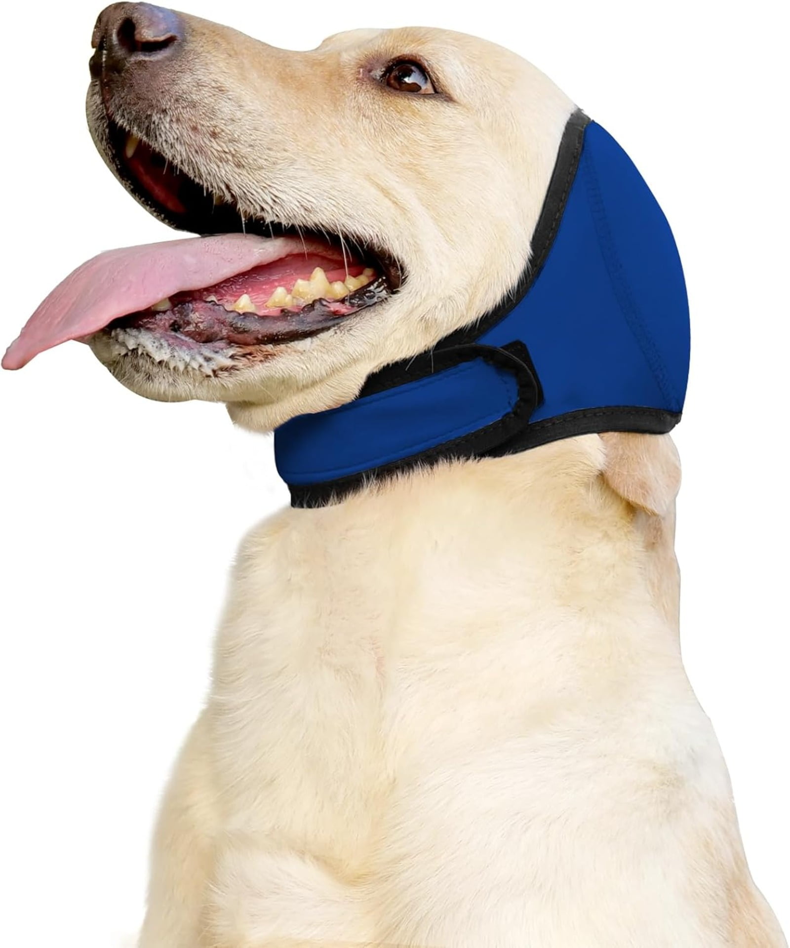Dog Ear Muffs & No Shake Ear Wrap for Hematoma, Bathing, Drying, Swim ...