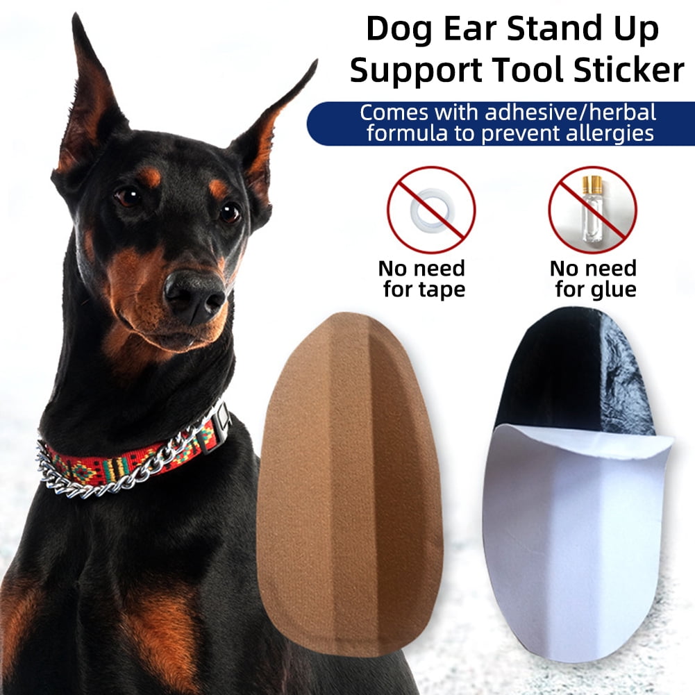 Dog Ear Stand Up Support Tool Sticker, Self Adhesives Dogs Ear Stand Up ...