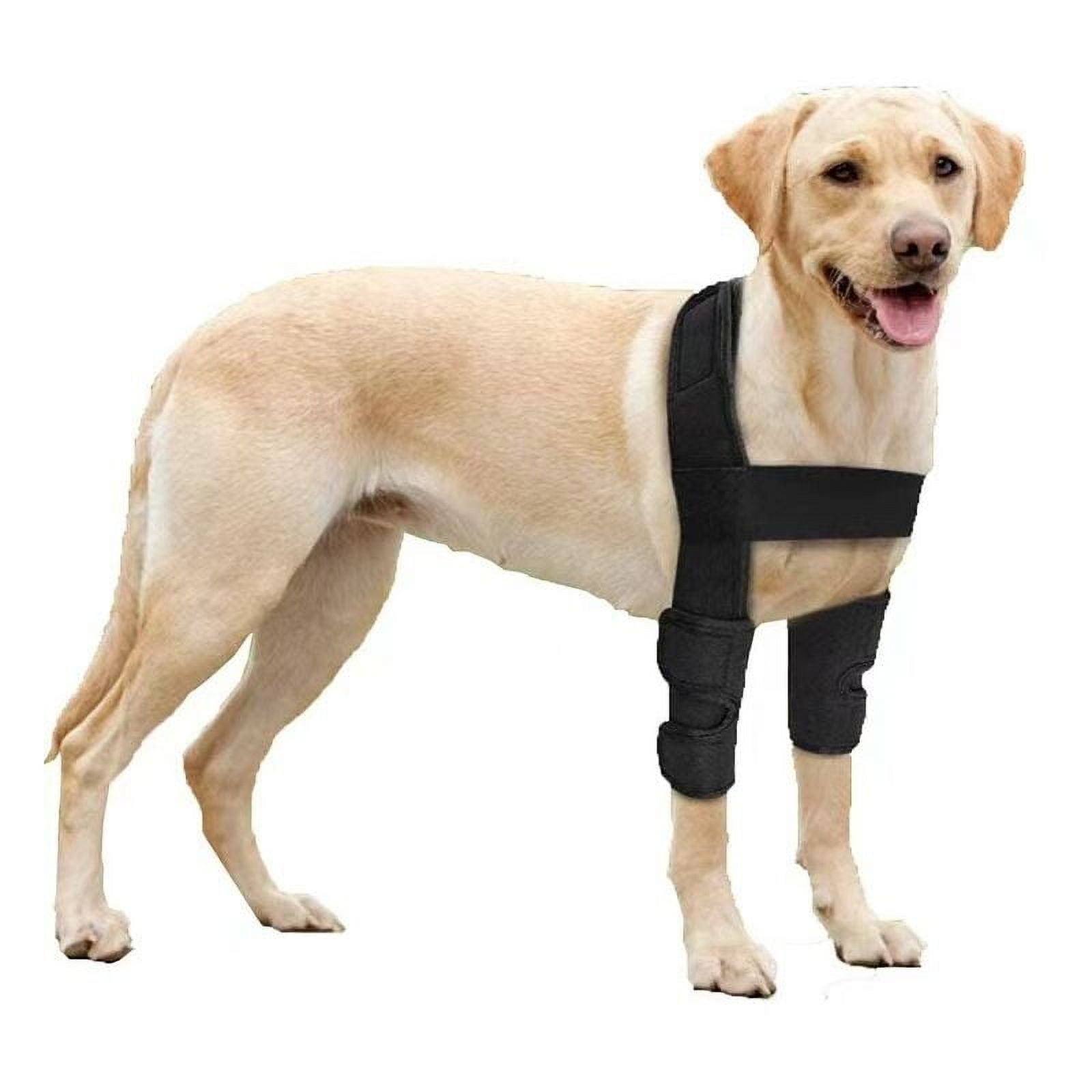 Dog Elbow Brace Protector Pads for Canine Elbow and Shoulder Support ...
