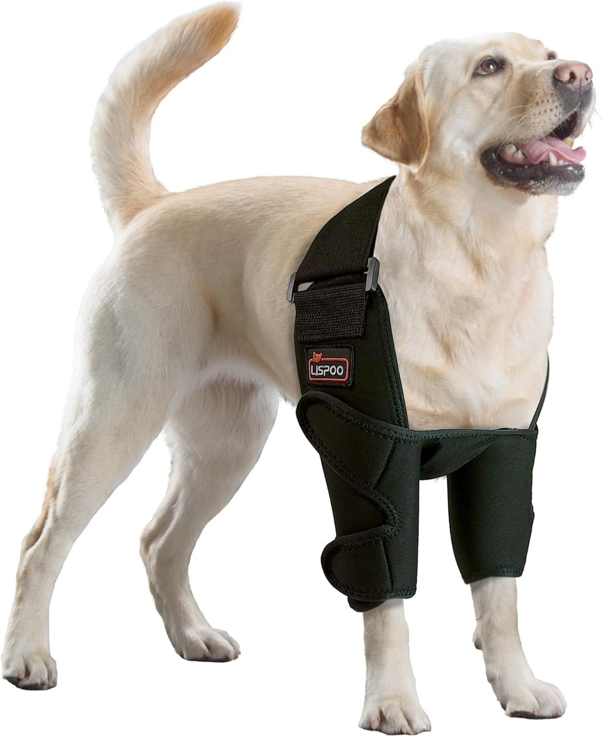 Dog Elbow Brace Protector Pads Provides Elbow Support and Protection ...