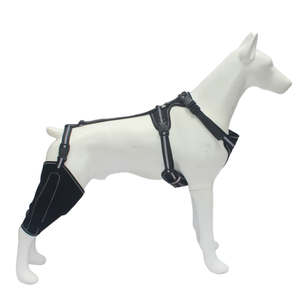 Dog Elbow Brace Wrap for Injured Limb Promotes Comfort Rear Leg Wrap ...