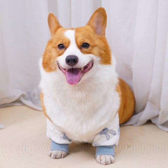 Dog Elbow Protector Front Leg Joint Sleeve for Corgi, Cotton Joint ...