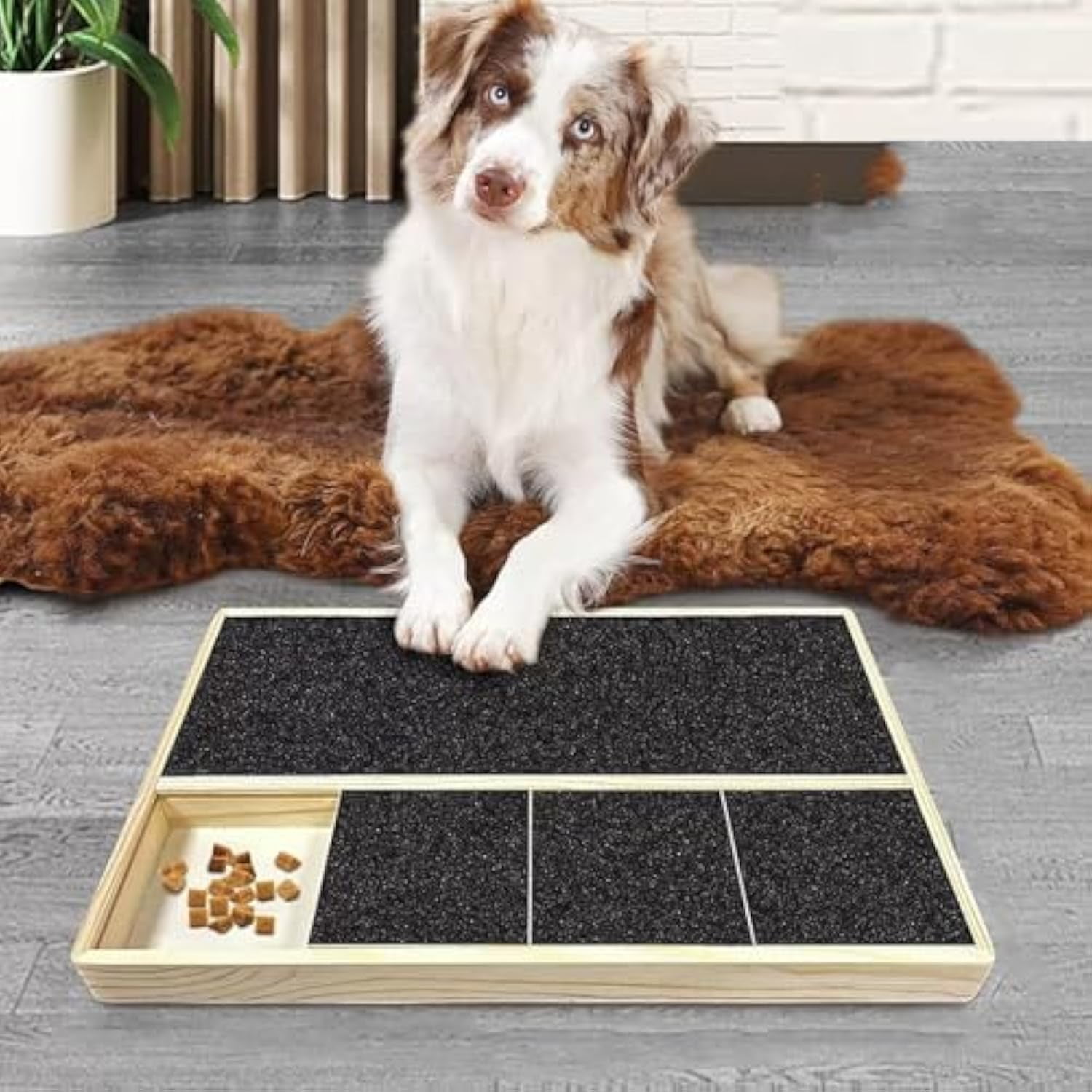 Dog Emery Board Scratcher Treat Box, Dog Treat Box - 4 Different Food ...