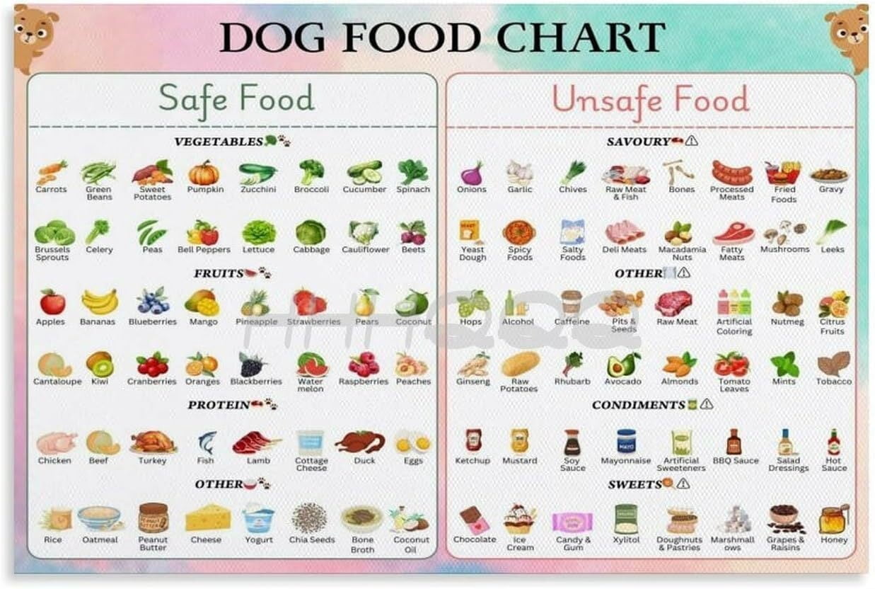 Dog Food Chart Poster,Safe And Toxic Food List,Dog Diet Guide Wall Art ...