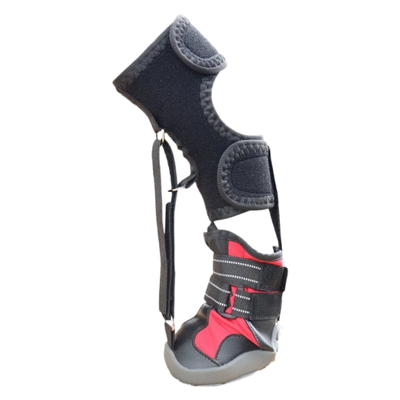 Dog Foot Brace with Reel(none Knuckling Boot Brace) for Dogs Dog Shoes ...
