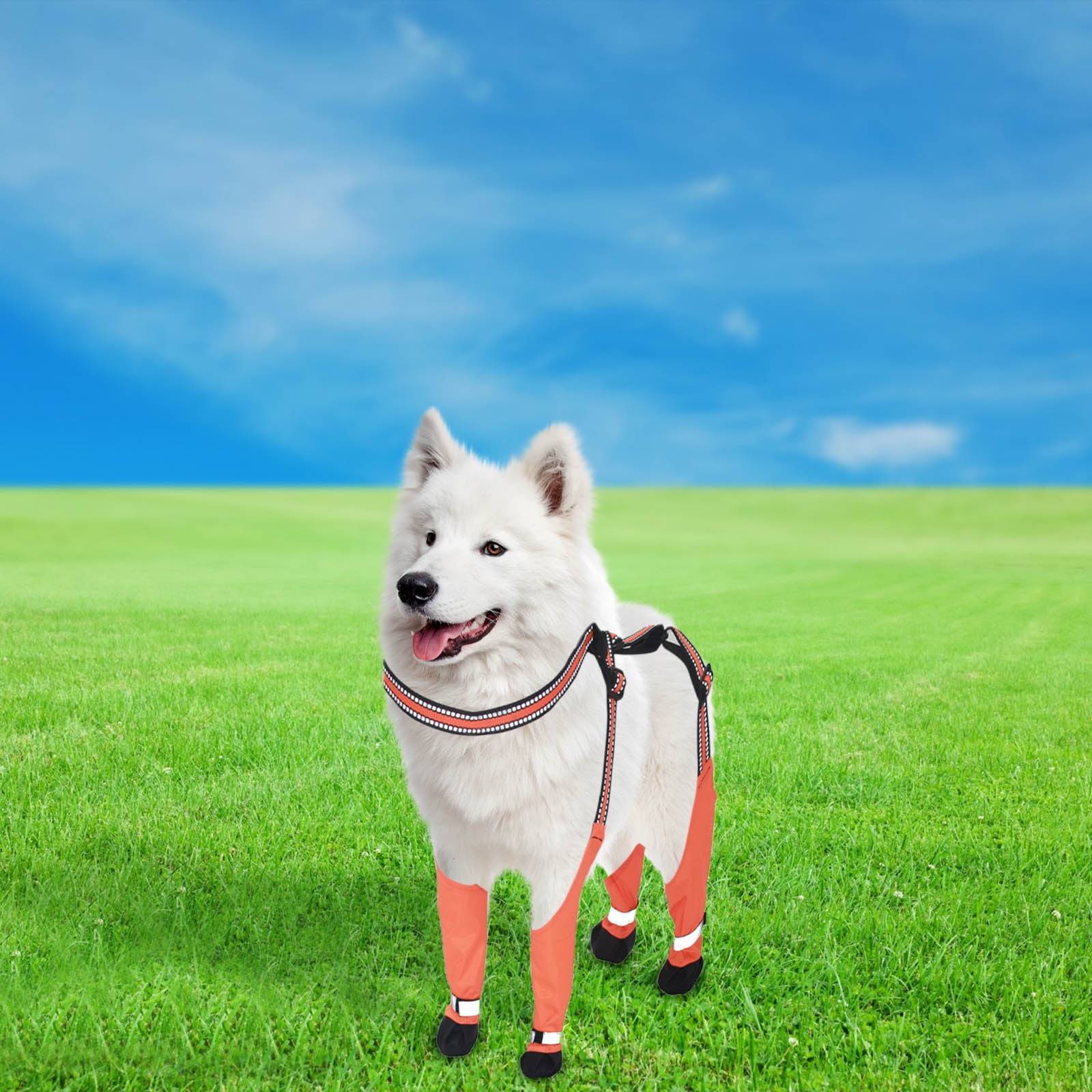 Dog Foot Gloves Non-Slip Protective Booties • Durable Dirt-Resistant ...