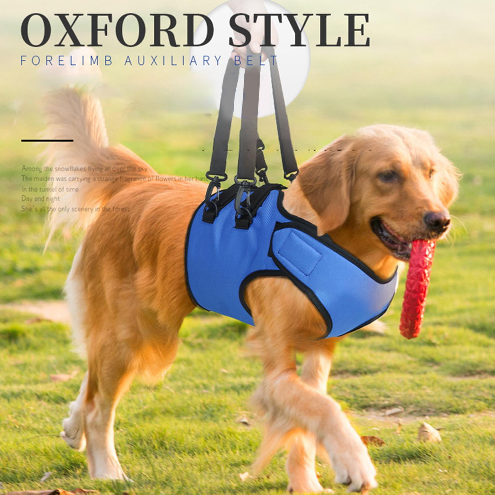 Dog Forelimb Auxiliary Belt Dog Lift Harness Puppy Vest Harness Lifter ...