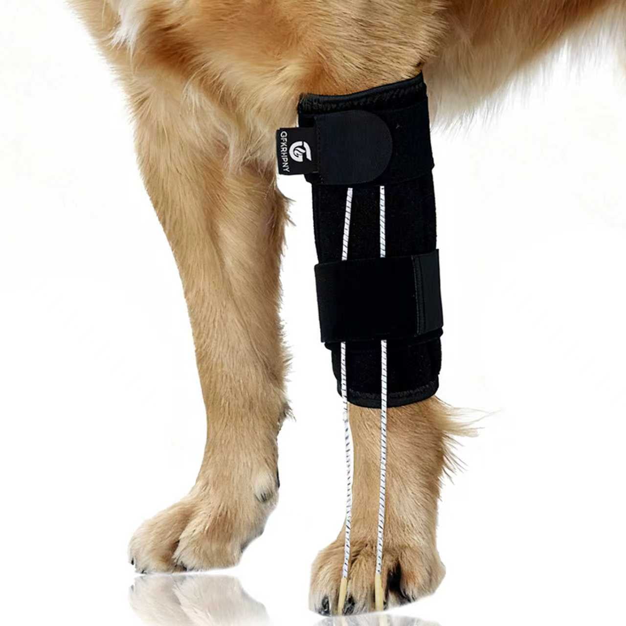 Dog Front Drop Foot Brace Wrap, Knuckling Support Bandage for Paws ...