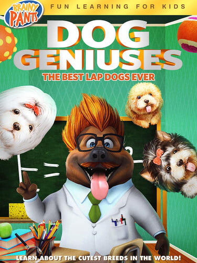 Dog Geniuses: The Best Lap Dogs Ever (DVD), Wownow, Anime & Animation ...