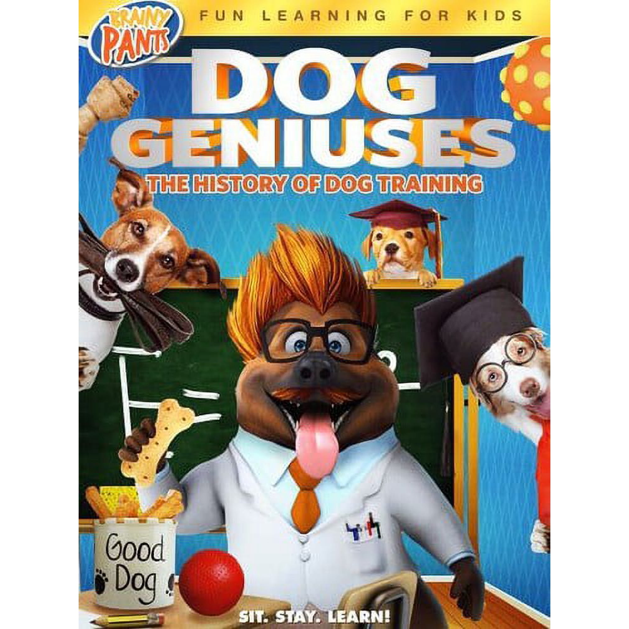 K9 Series Dvd