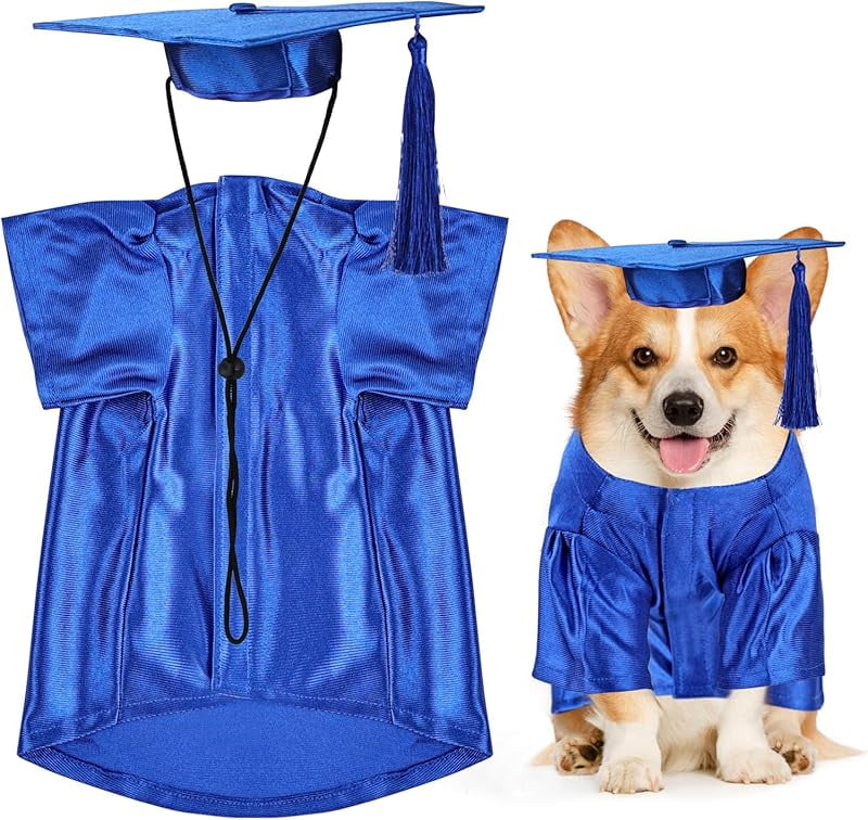 Dog Graduation Cap and Gown, Dogs Cats Graduation Holiday Halloween ...