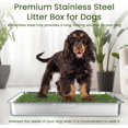 Dog Grass Pad with Tray, Grass Pad for Dogs Potty 23.4" X 15.6 ...