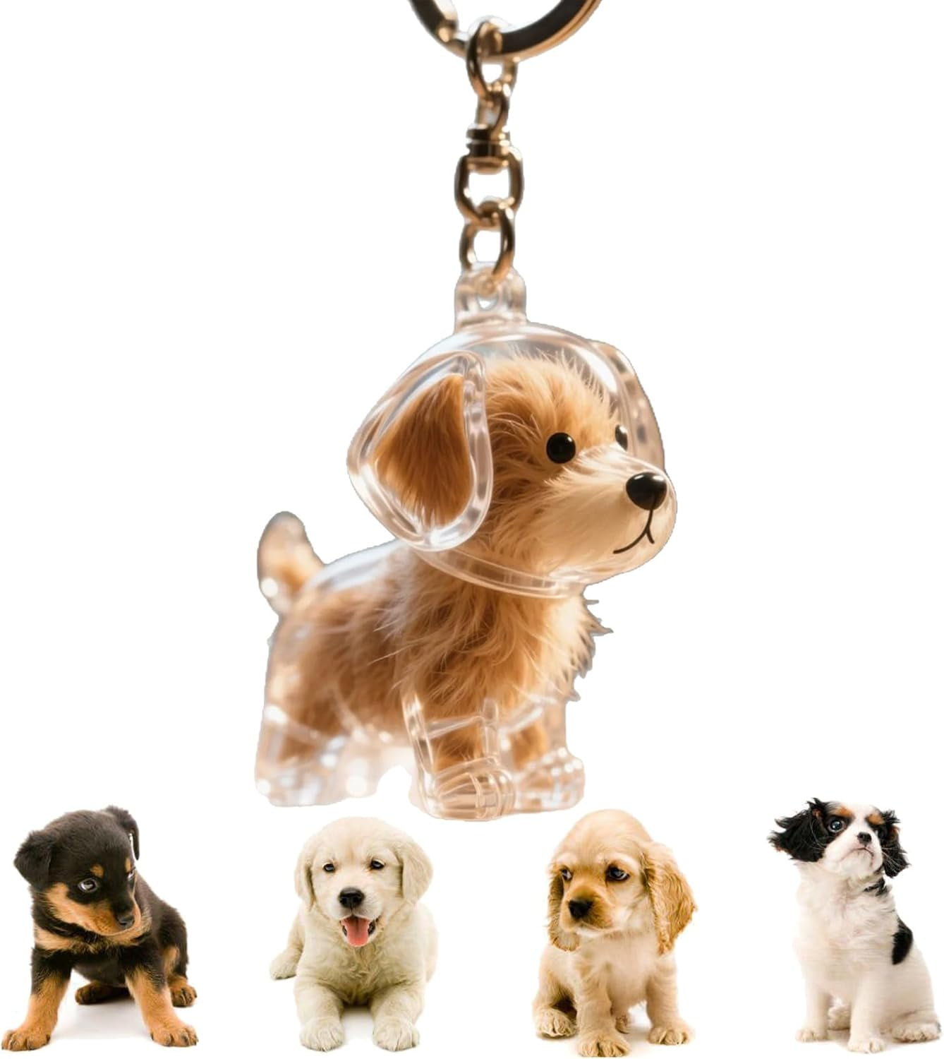 Dog Hair Collector Keychain Charm Memorial Storage Box, 2025 New Fur ...