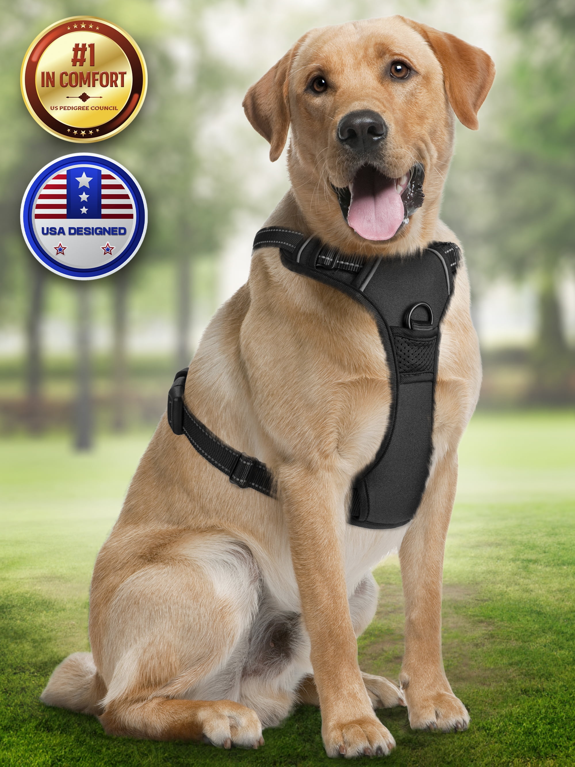 Dog Harness (Extra Large, Black) for Daily Walk, Soft-Padded W ...