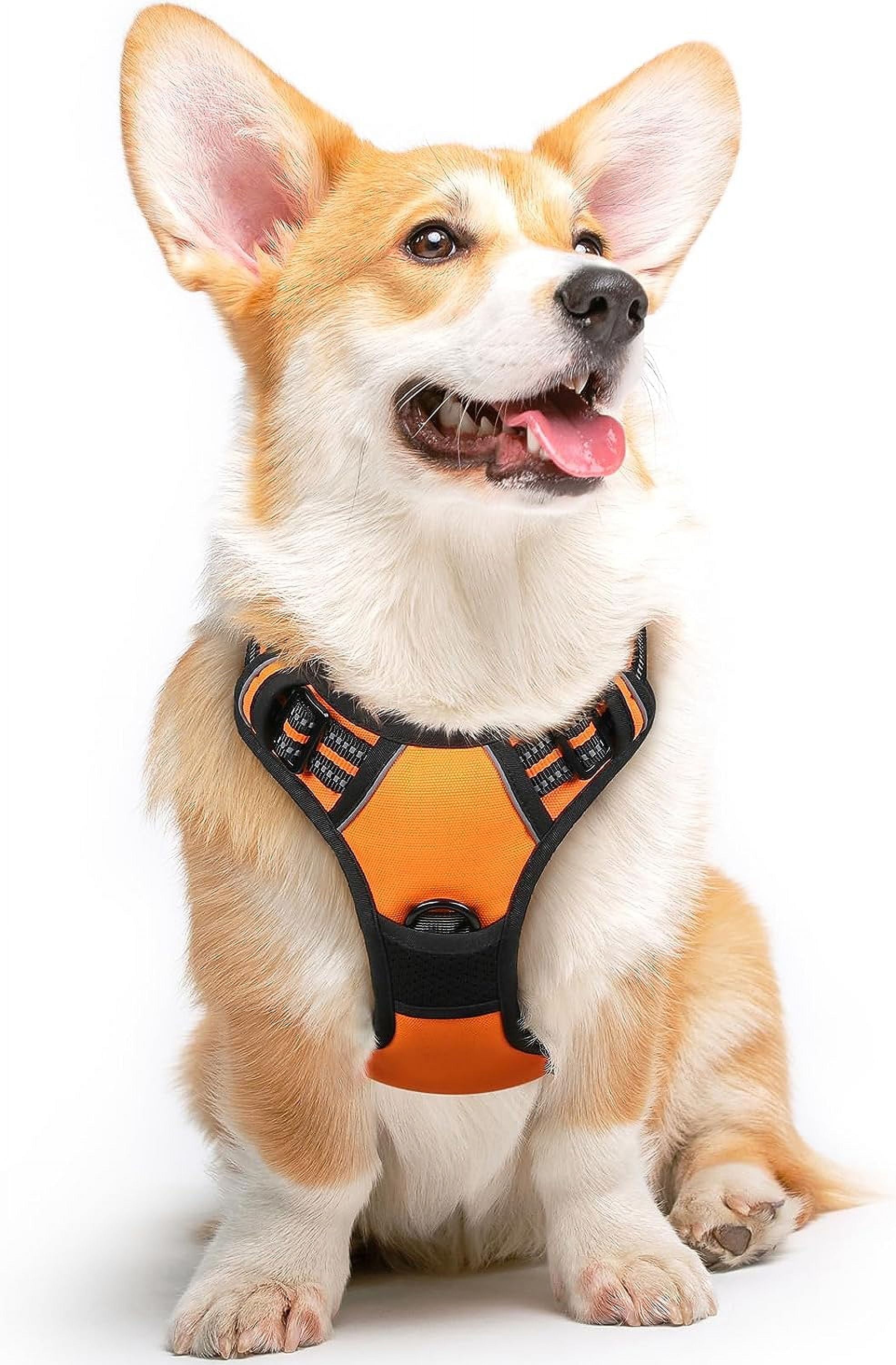 Dog Harness for Large Dogs No Pull, No Choke Dog Harness Soft Padded ...