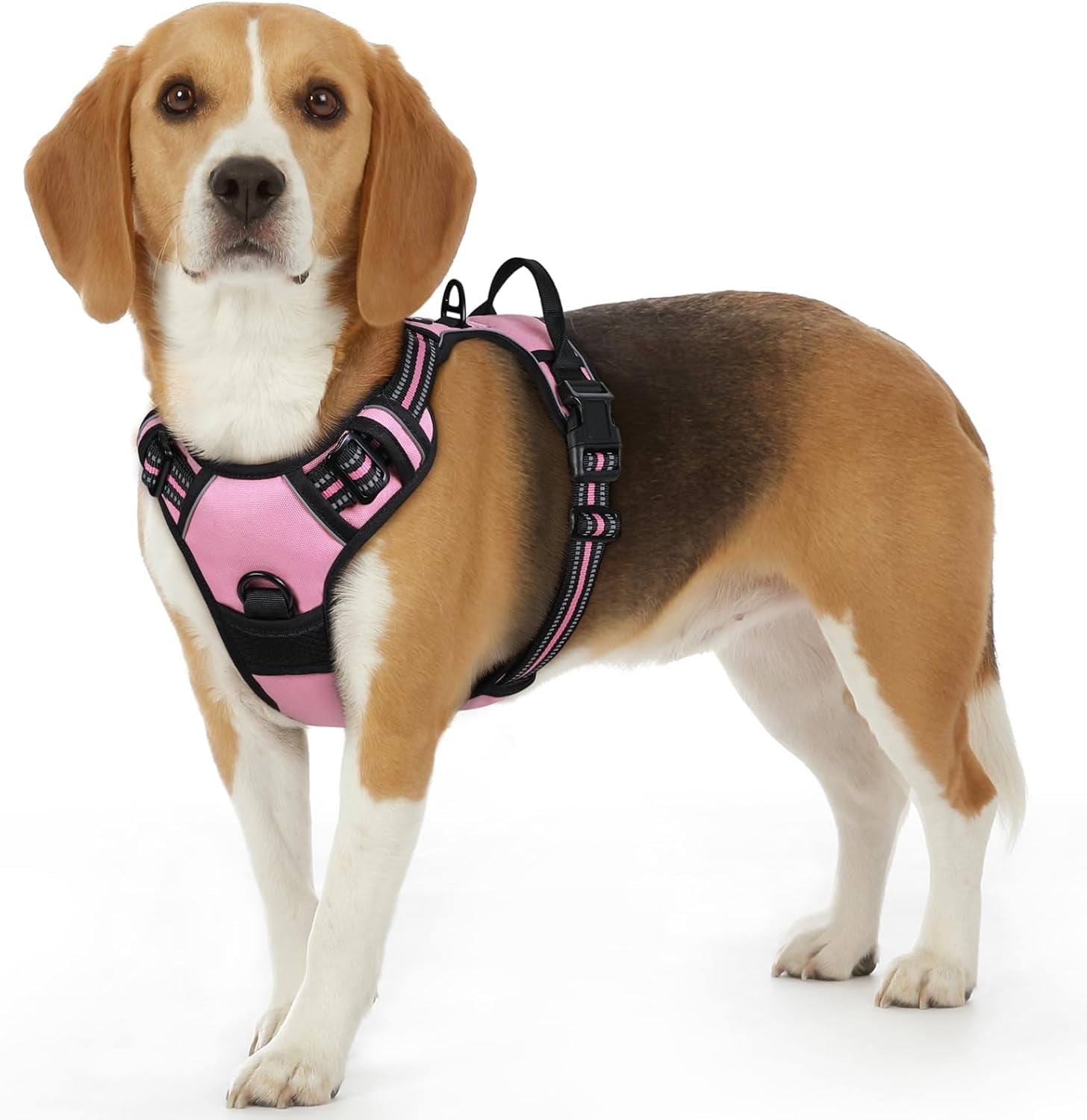 Dog Harness for Large Dogs No Pull, No Choke Dog Harness Soft Padded ...