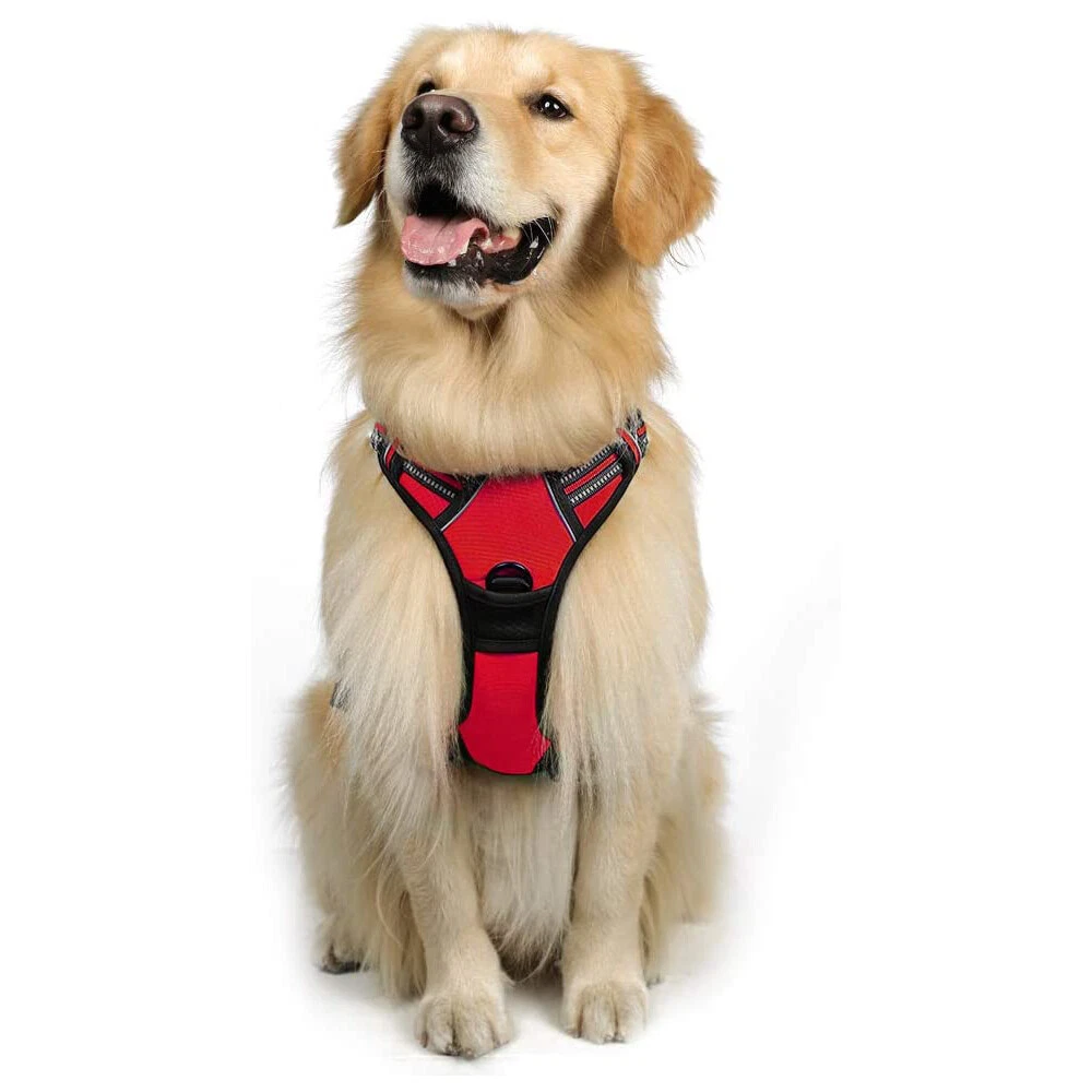 Dog Harness for Large Dogs No Pull, No Choke Dog Harness Soft Padded ...