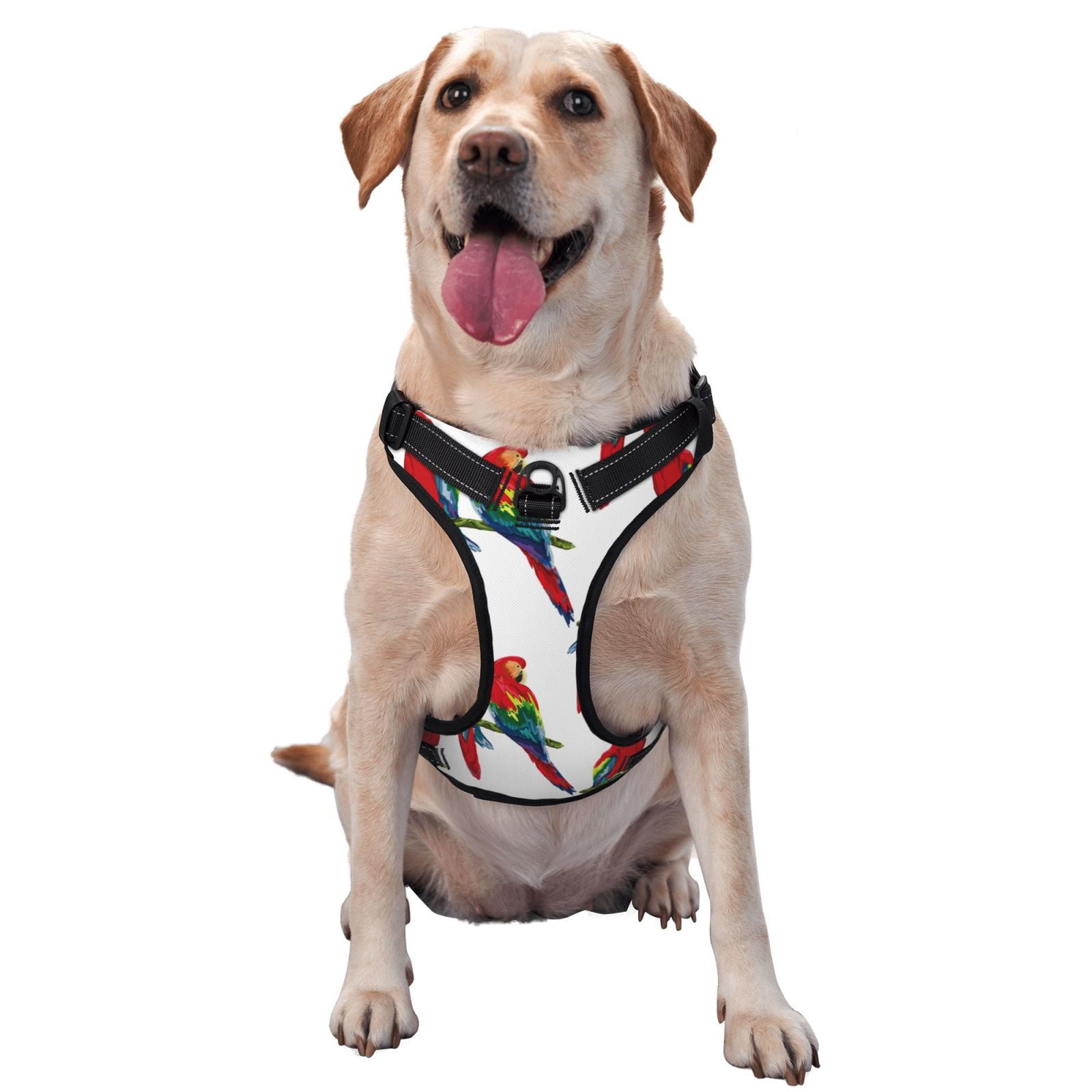 Dog Harness, Red Macaw Parrot On Branch No Pull Pet Harness Dog Leash ...