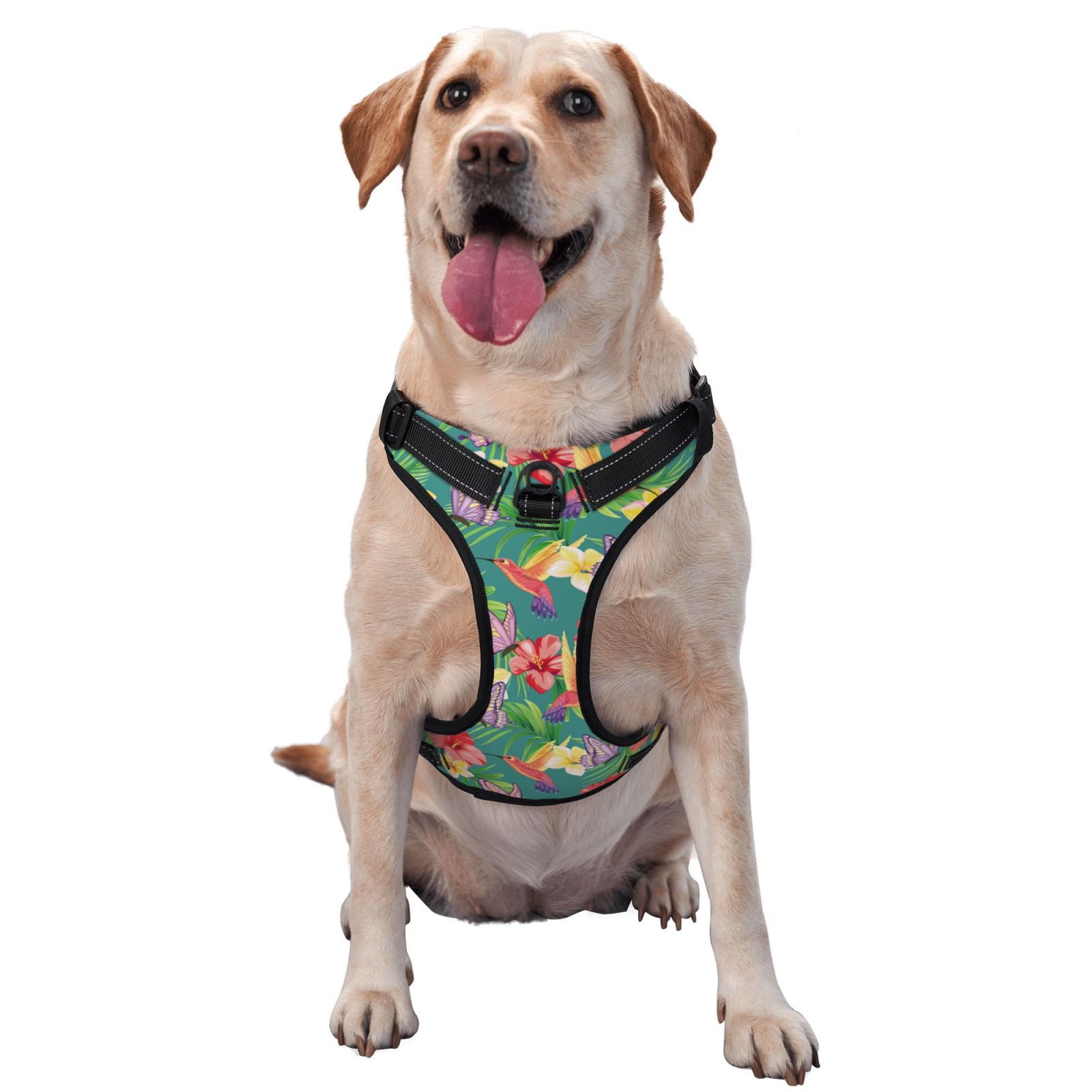 Dog Harness for Small to Large Dogs - Butterfly Hummingbird Flower No ...