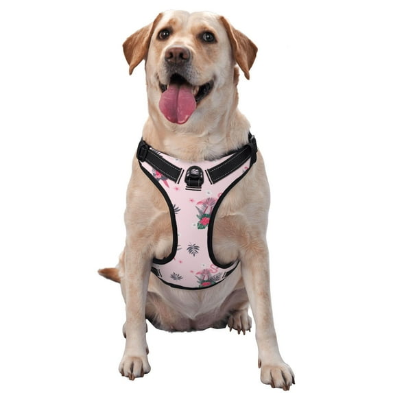 Dog Harness for Small to Large Dogs - Cute Cartoon Parrot Flamingo ...