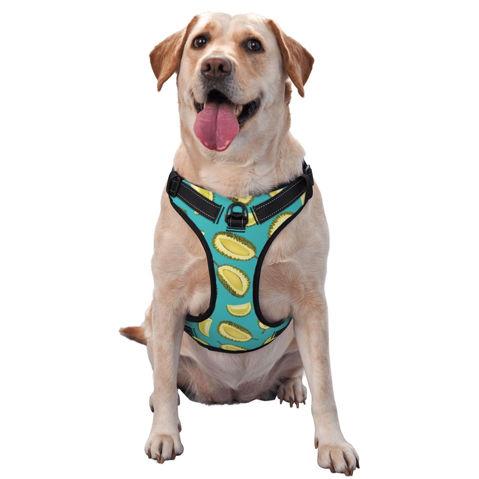 Dog Harness for Small to Large Dogs - Cute Durian Blue No Pull Pet ...