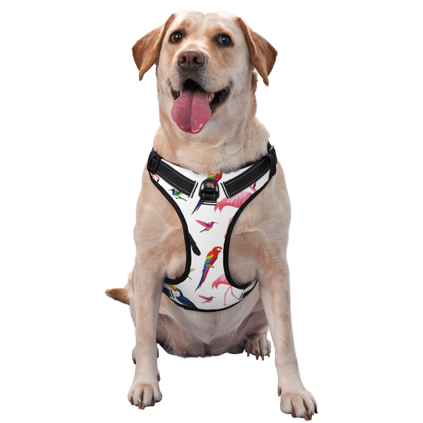 Dog Harness for Small to Large Dogs - Cute Parrot Flamingo Toucan Bird ...