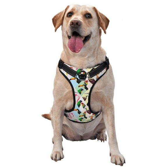 Dog Harness Small Medium Large Sized Dog - Striking Parrot Toucan ...
