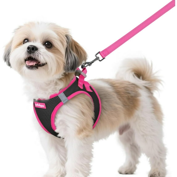 Dog Harness Small Sized and Leash Set, Step-in Breathable Pet Harness ...