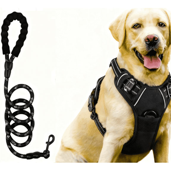 Dog Harness for Small to Large Dogs - Cute Cartoon Parrot Flamingo ...