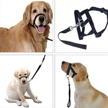 PetSafe Gentle Leader Headcollar, No-Pull Dog Collar, Large 60-130 lb ...