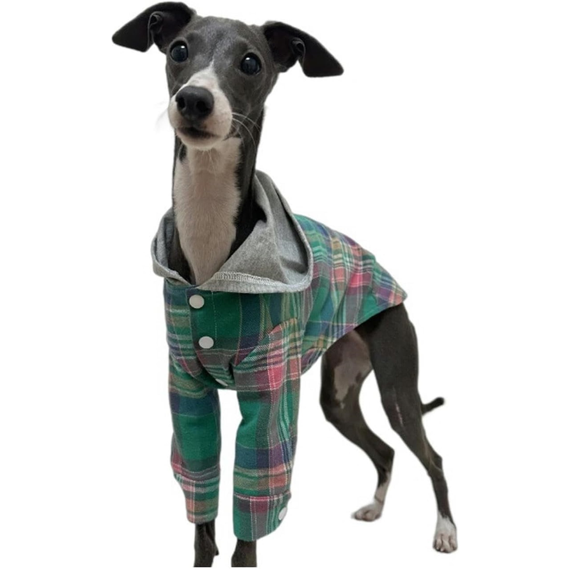Dog Hoodies Greyhound Clothes Dog Plaid Shirts Cotton Dog T Shirts ...