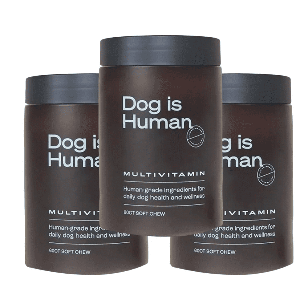 Dog Is Human Daily Wellness Dog Treats, Beef Flavor, Soft Chews for ...