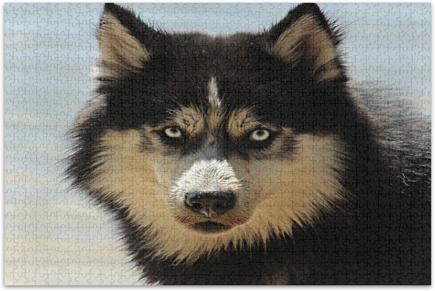Dog Husky Jigsaw Puzzle 500 Pieces for Adults Teens Kids, Fun ...