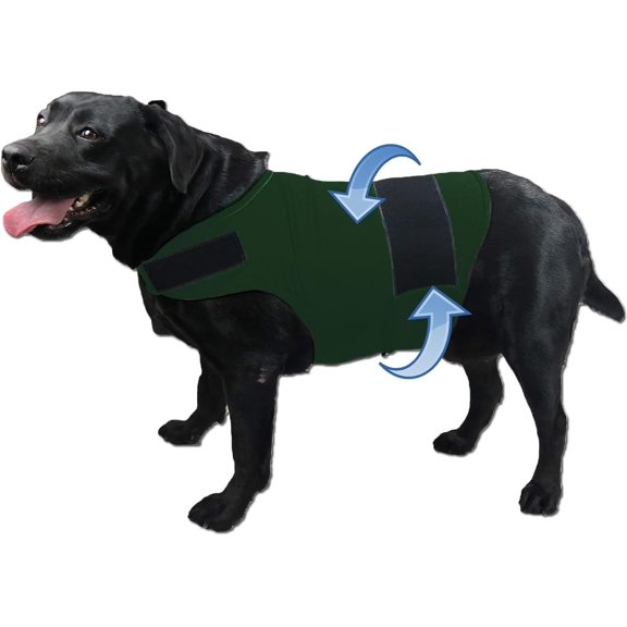 Thunder Vest Dogs