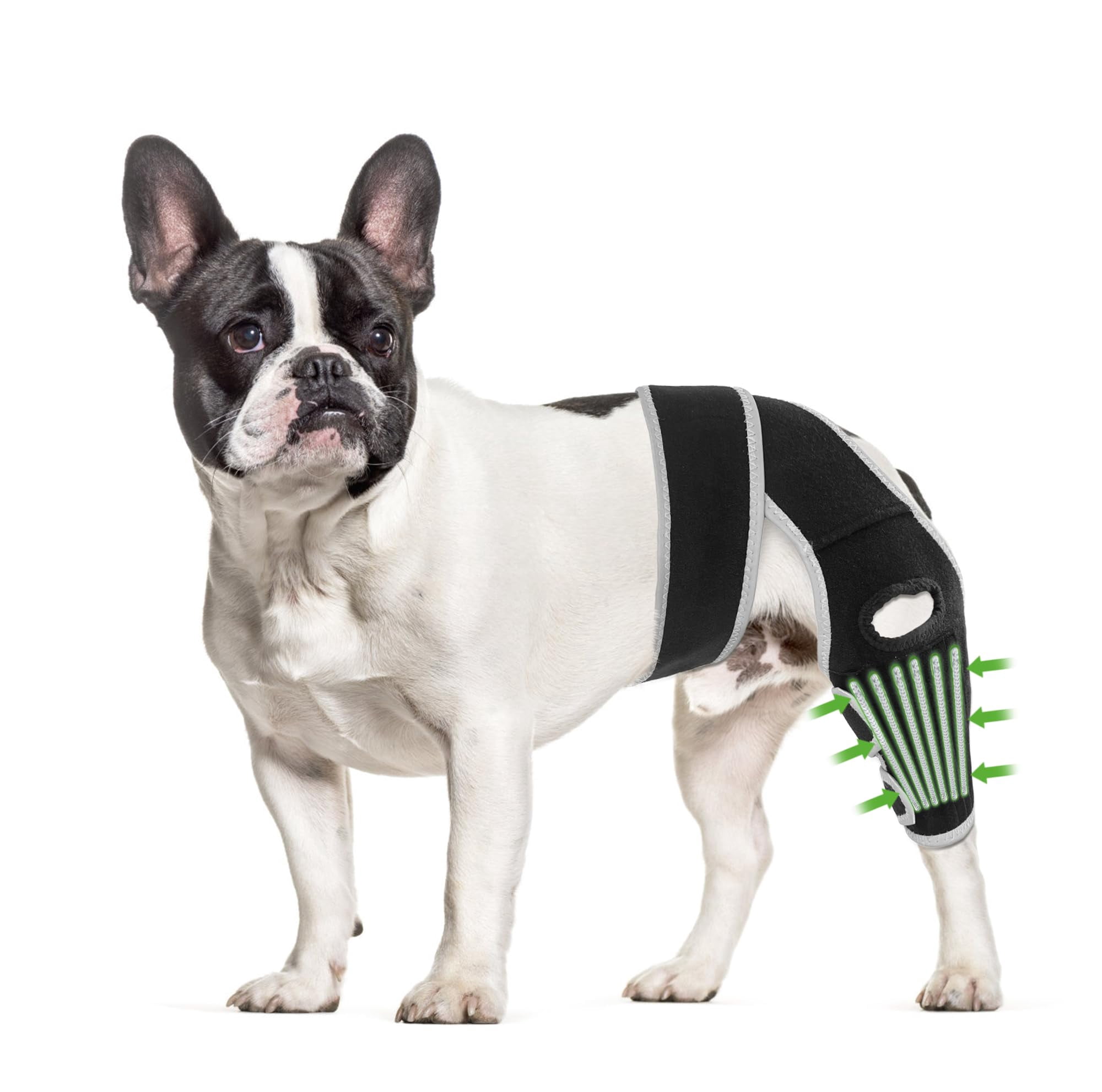 Dog Knee for Back Leg, AIS1 Luxating Patella for Extra Small Dogs with ...