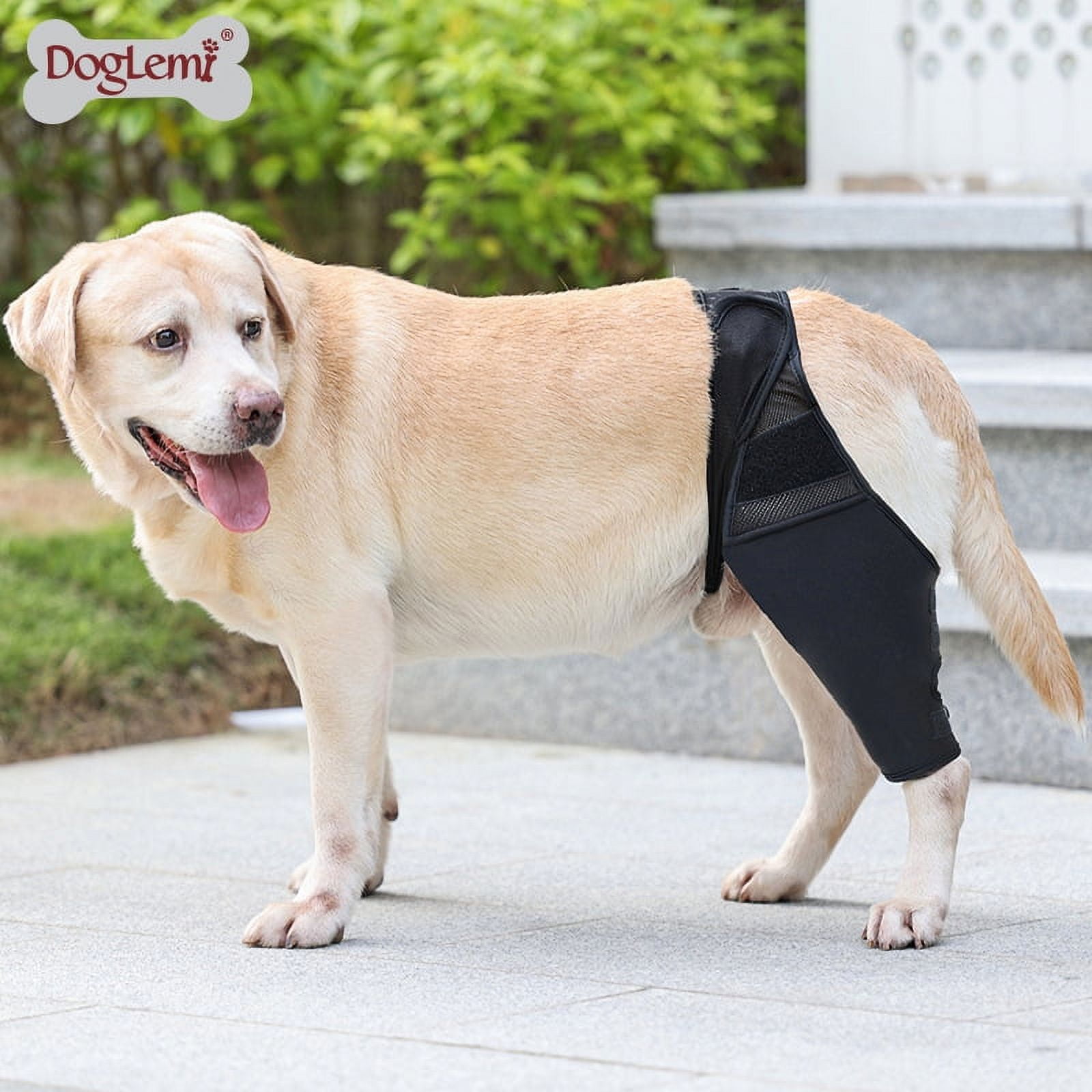 Dog Knee Brace for 4 legs, Knee Cap Dislocation, Pet Knee Brace，Leg ...