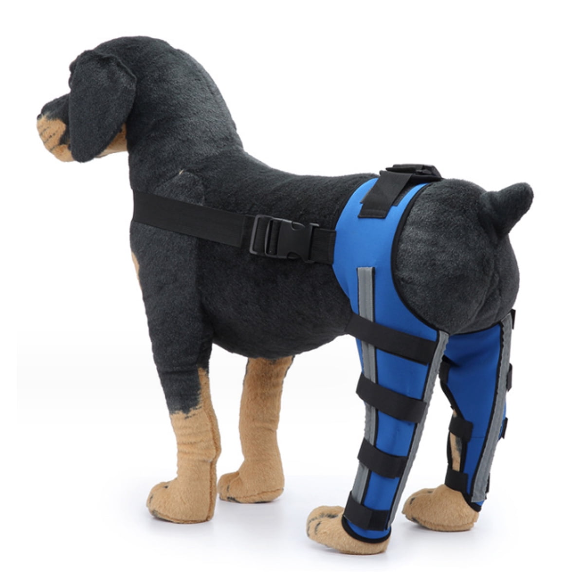 Metal Hinged Support & Reflective Seat Belts, Blue Adjustable Rear Leg ...
