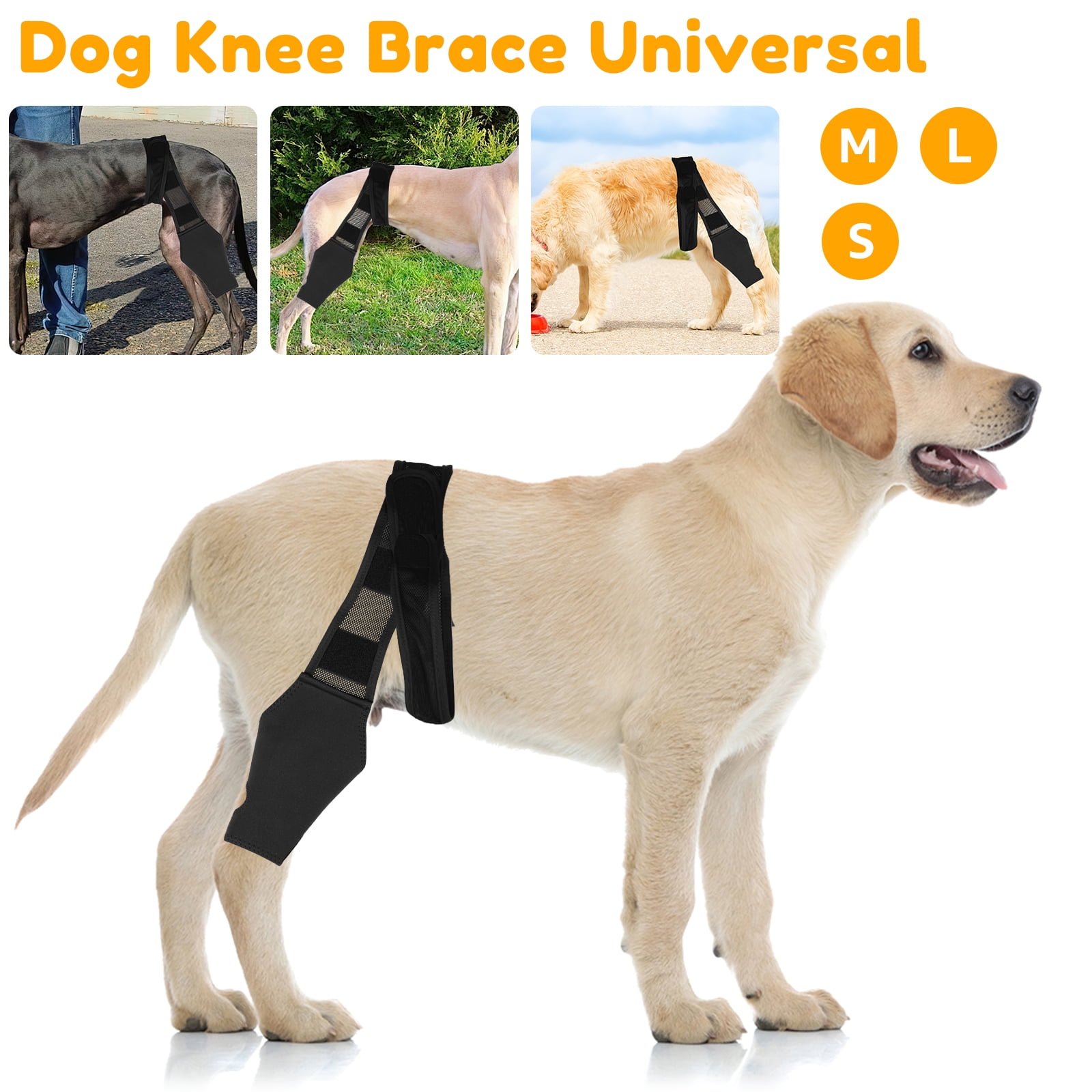 Dog Knee Brace Adjustable Dog Leg Braces Breathable Pet Back Leg ...