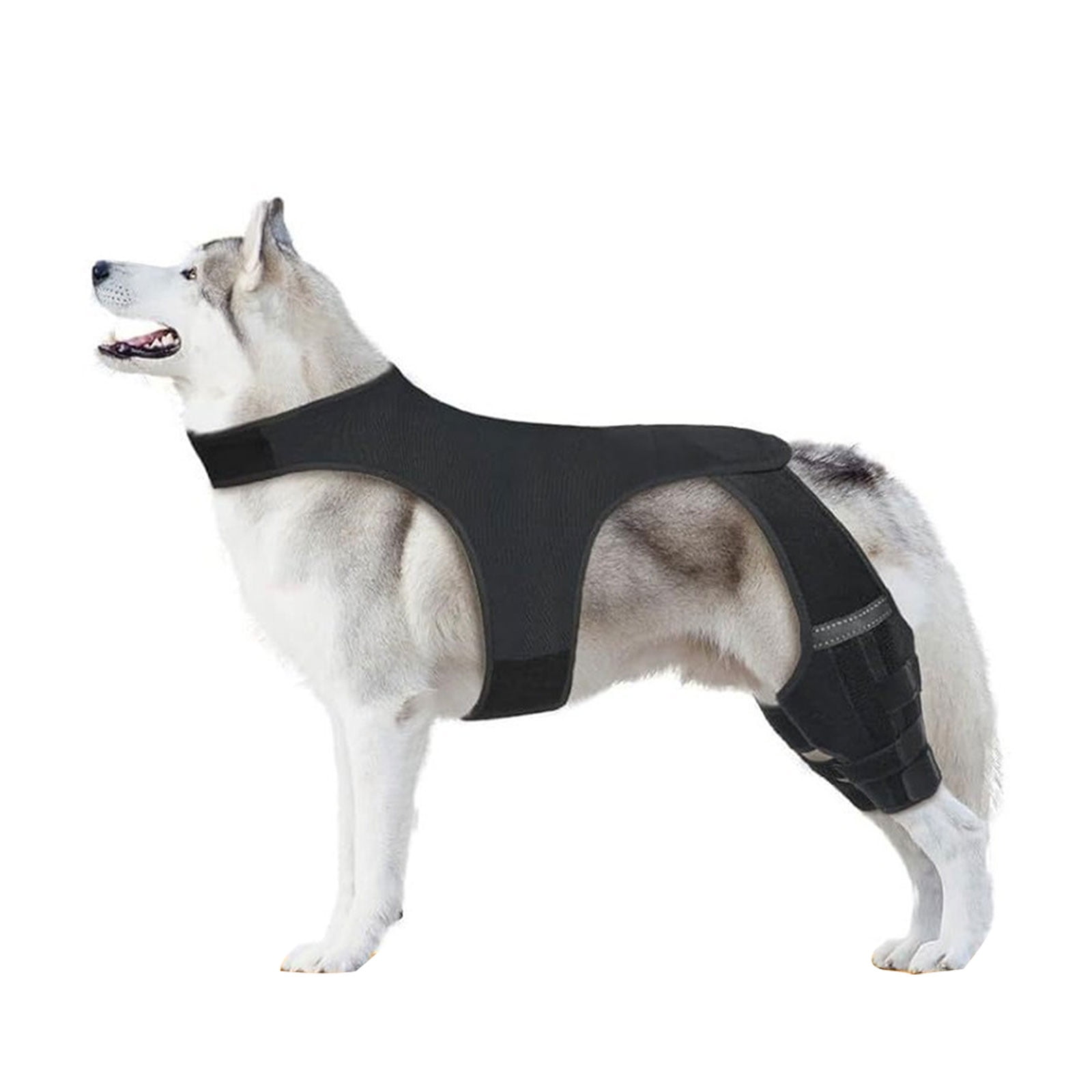 Dog Knee Brace Back Leg Joints Protectors Elastic Neoprene Leg Sleeve ...