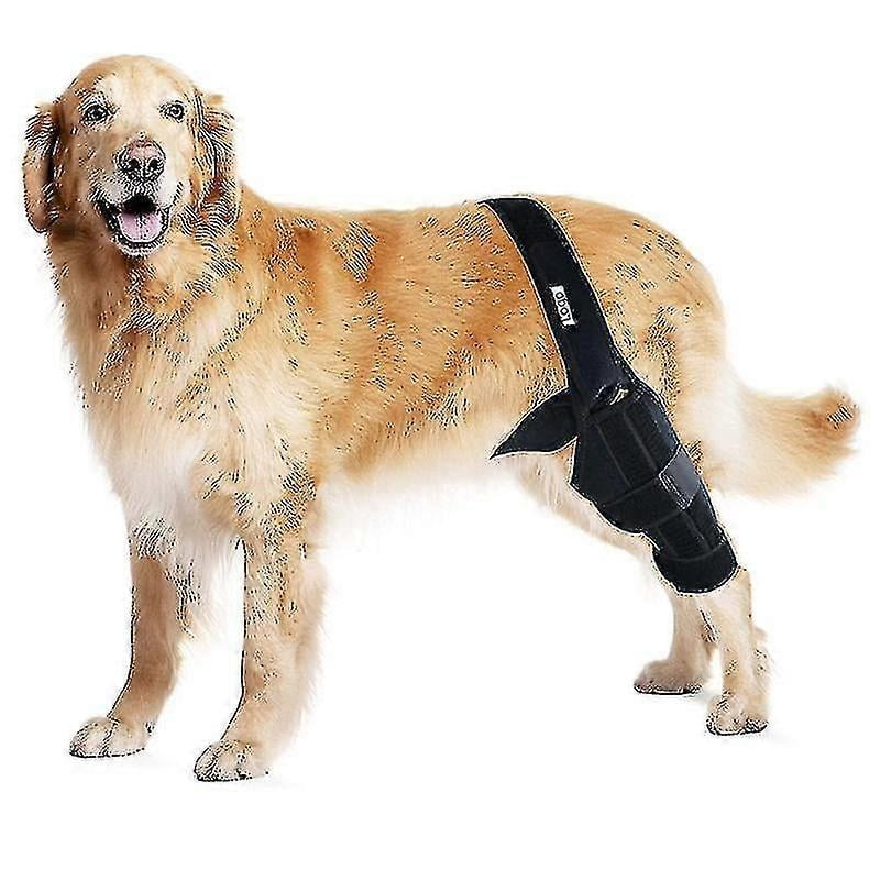 Dog Knee Brace For Torn Acl, Support For Hind Leg And Hip, Reduces Arthritis Pain - Walmart.com