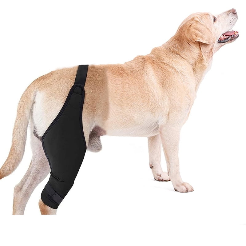 Dog Knee Brace, Leg Brace for Large and Small Dogs with ACL, CCL ...