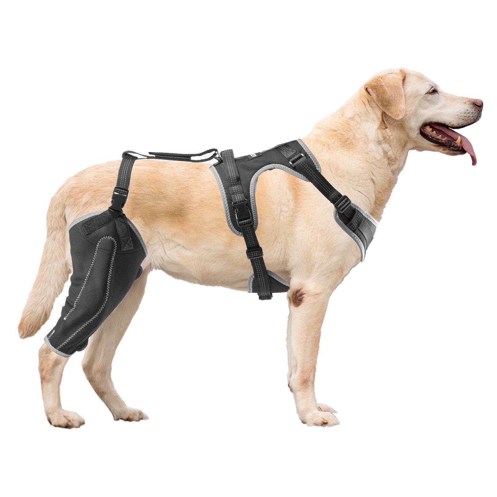 Dog Knee Brace for Right Hind Leg, Adjustable ACL Leg Support Brace ...