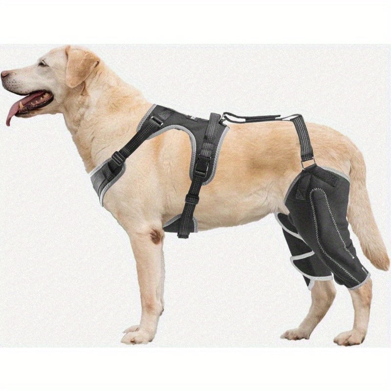 Dog Knee Brace for Torn ACL Dog Leg Brace with Adjustable Hinge ...